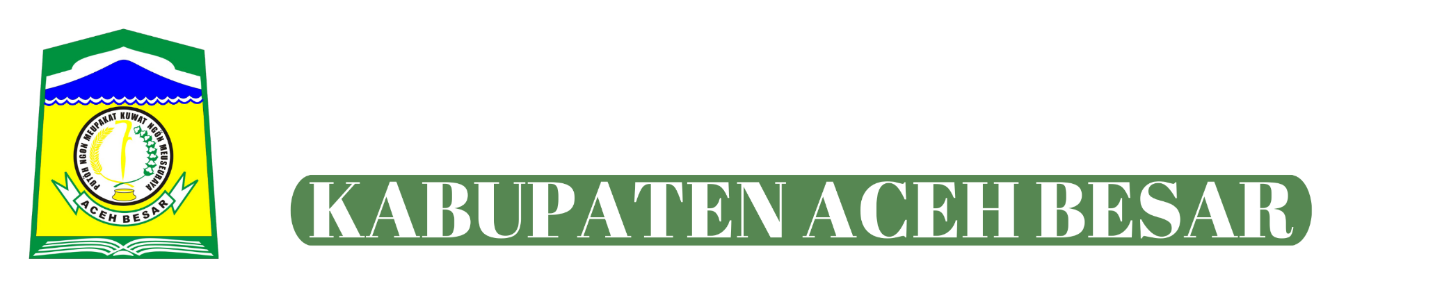 DINAS KESEHATAN ACEH BESAR